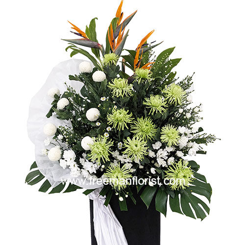 Reminiscence (W43) | Freeman Florist ~ The Best Floral Service and The ...